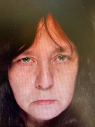 Michele Butler approved for supervised bail in case involving starving ...